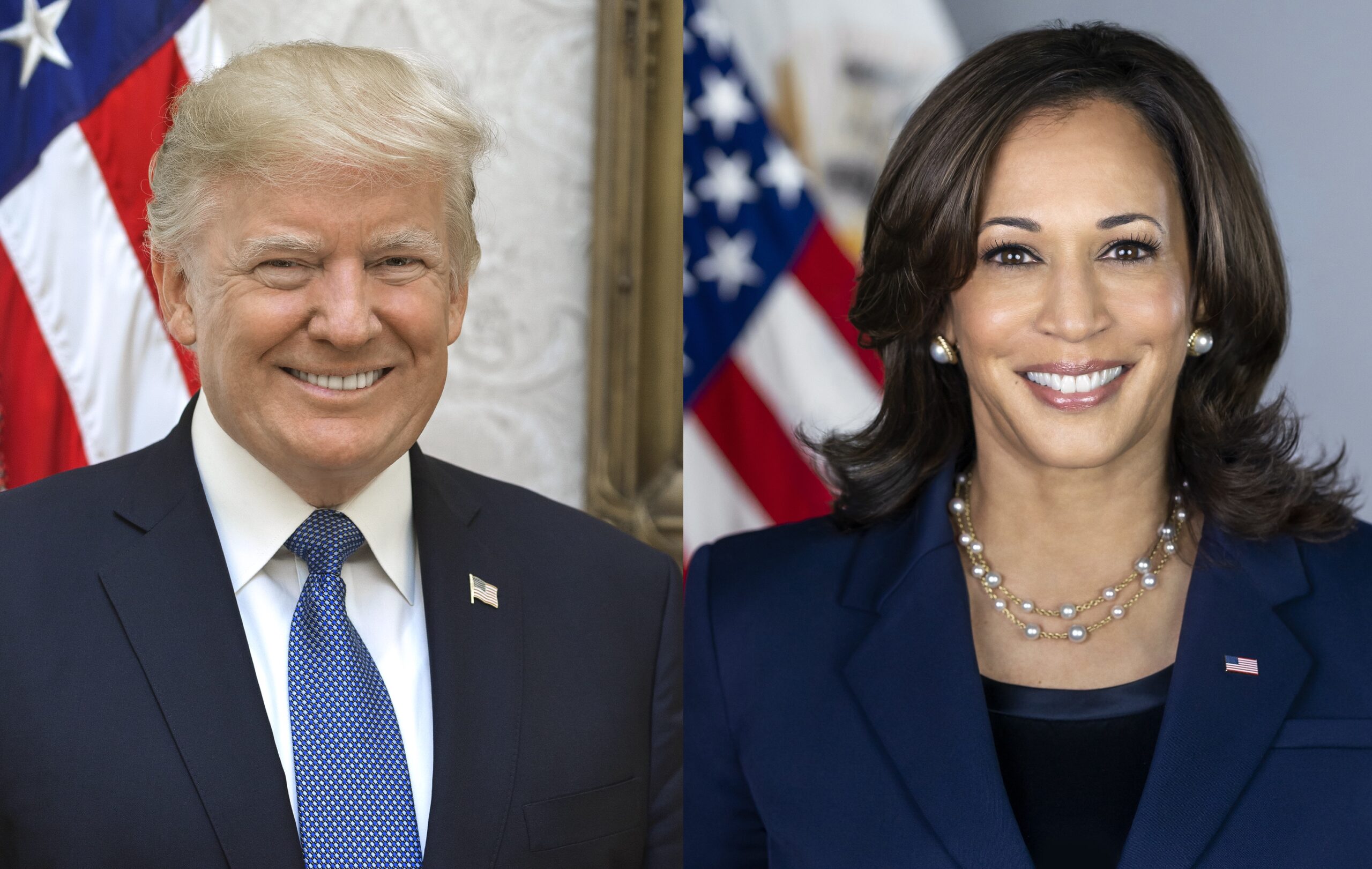 Presidential Election 2024 Resources